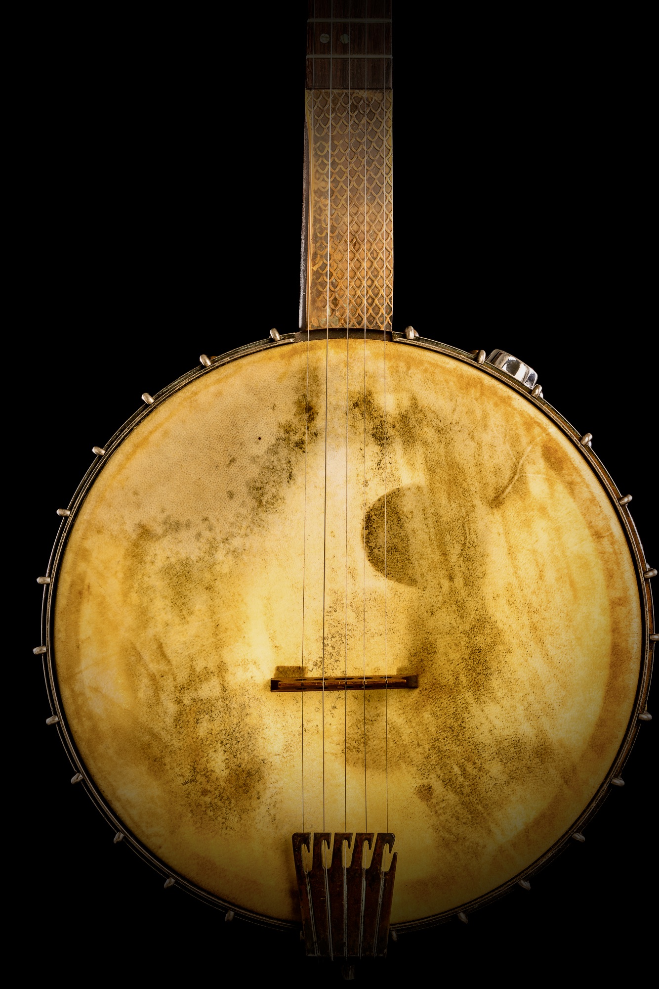 Silver Leaf – Mulheron Banjos