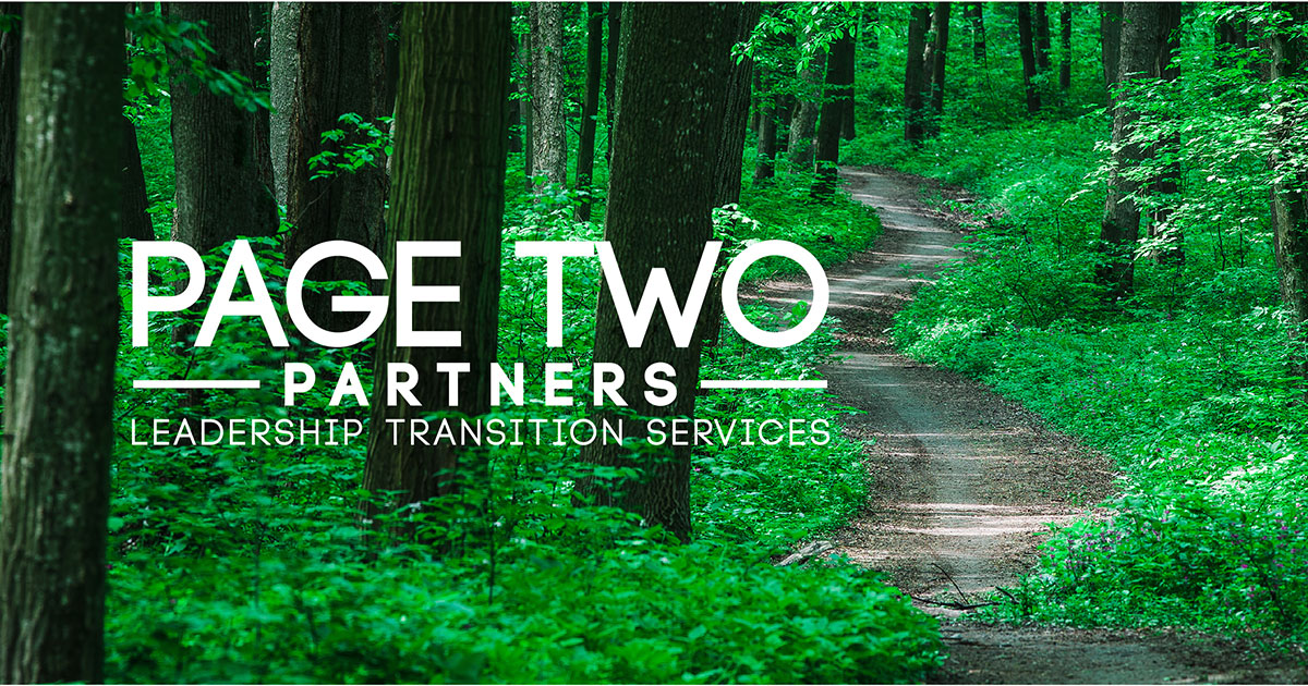 Page Two Partners | Services - Interim Executive Director placement ...