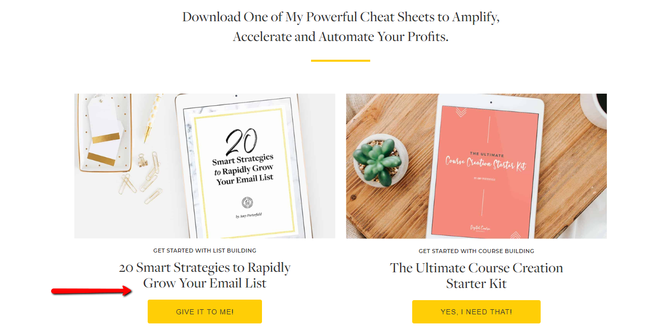 16 Eye-Catching B2B Lead Magnets to Inspire Your Next Advertising ...