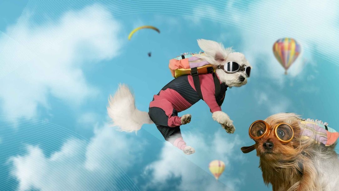 Þú getur meira með Símanum. Framúrskarandi þjónusta | Síminn