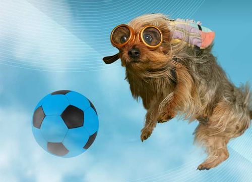 Þú getur meira með Símanum. Framúrskarandi þjónusta | Síminn