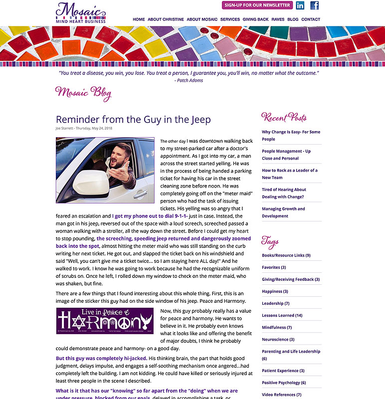 Peak Design Portfolio - Mosaic