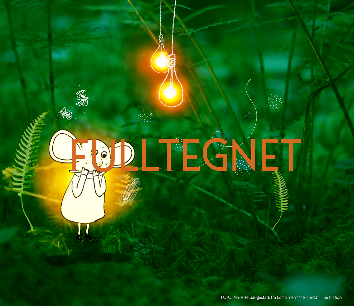 Tegnerforbundet - Animasjonsverksted for barn - Fulltegnet