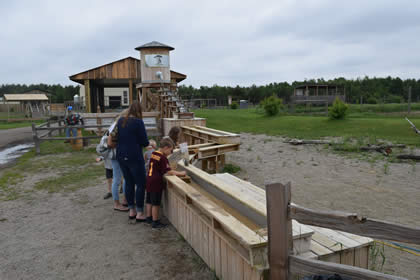 Wildlife Safari Park | Attractions | Safari North | Brainerd