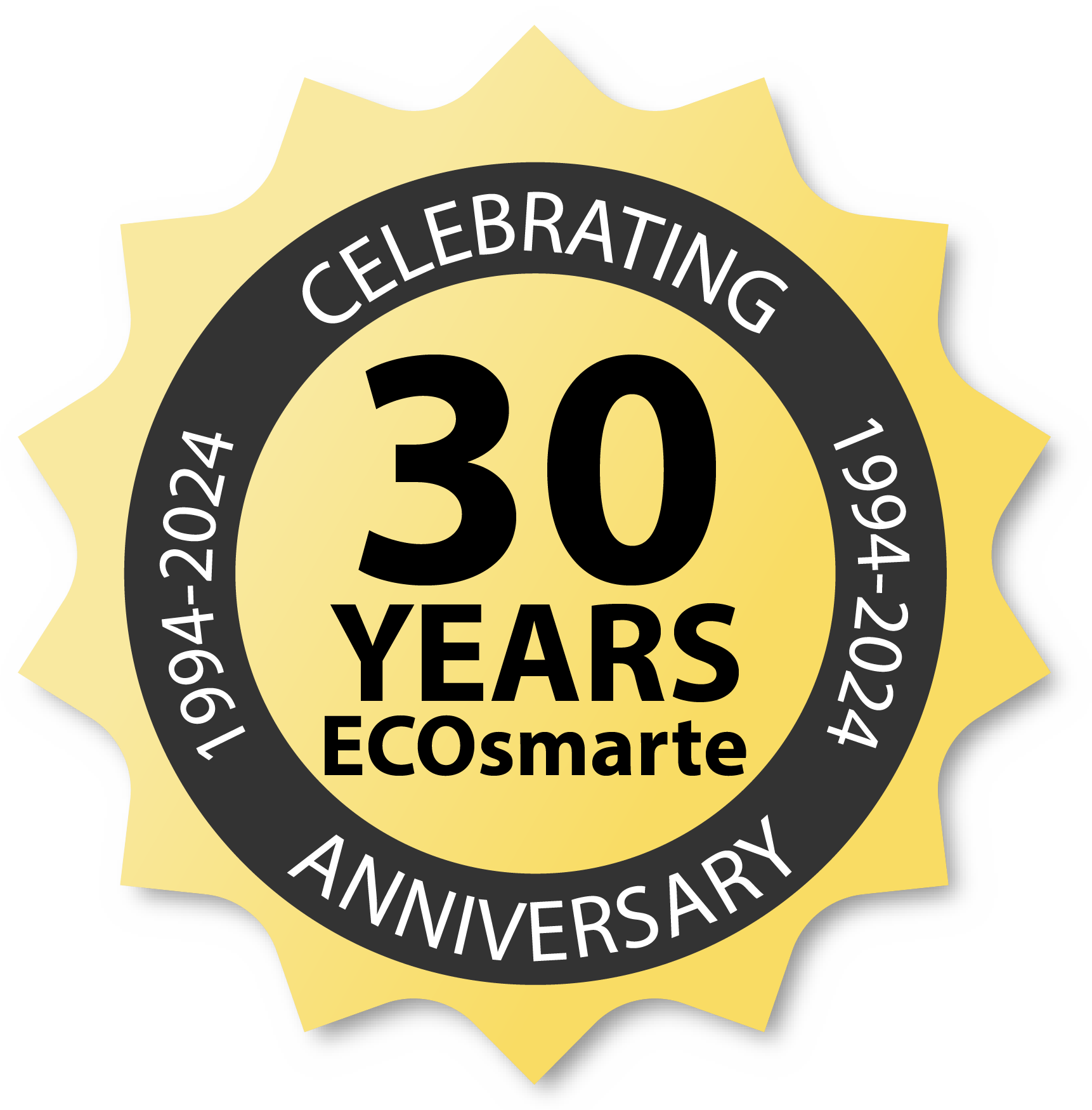 Chlorine Alternative Pool Purifier No Salt System