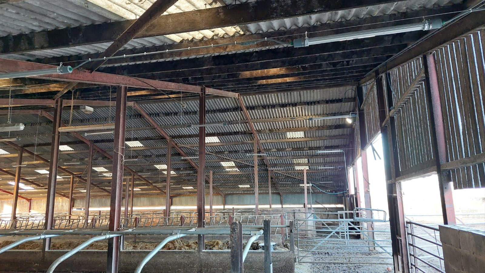 Latest news about Climatec Systems and the Poultry industry