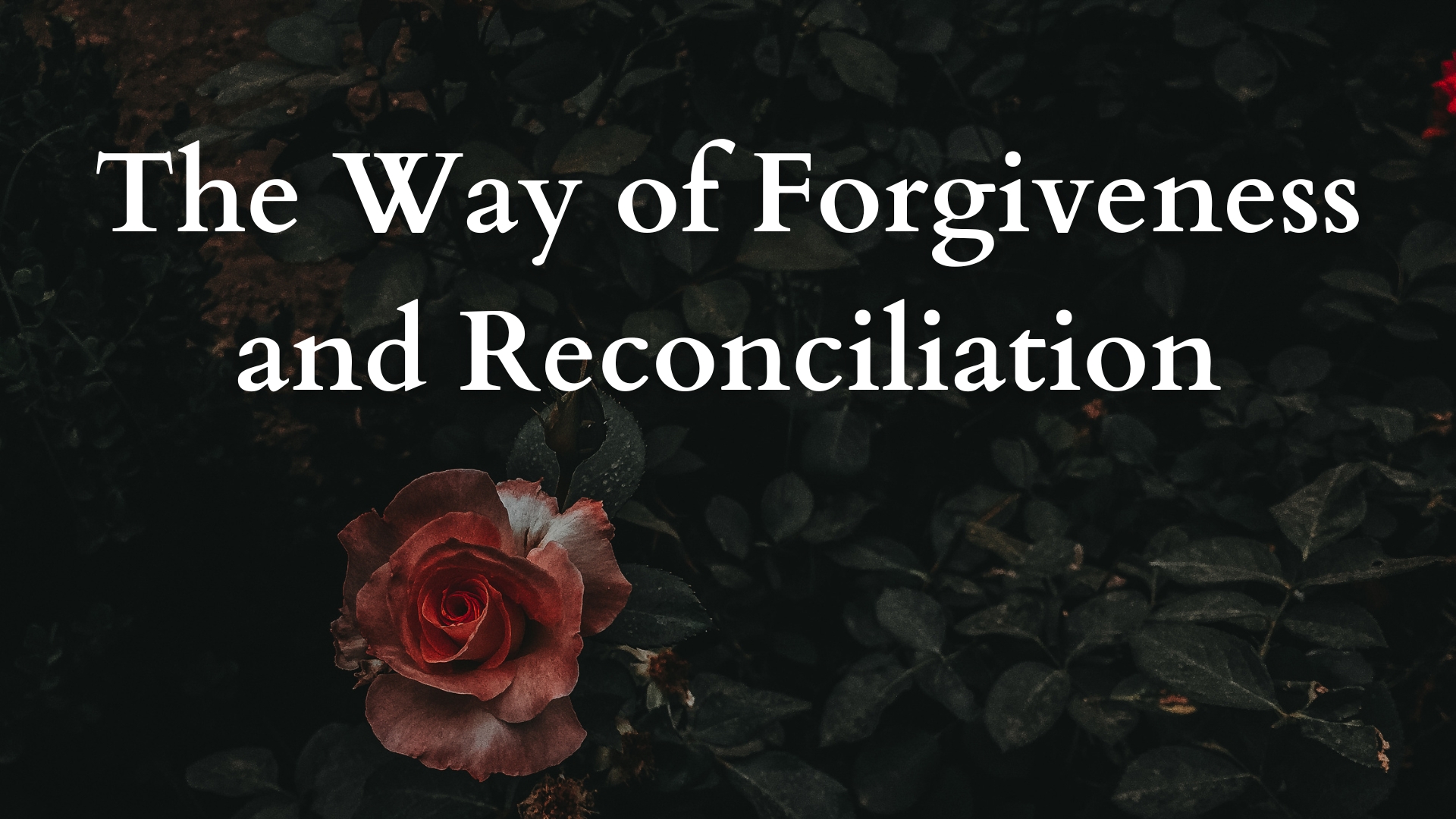 The Way of Forgiveness and Reconciliation part 1