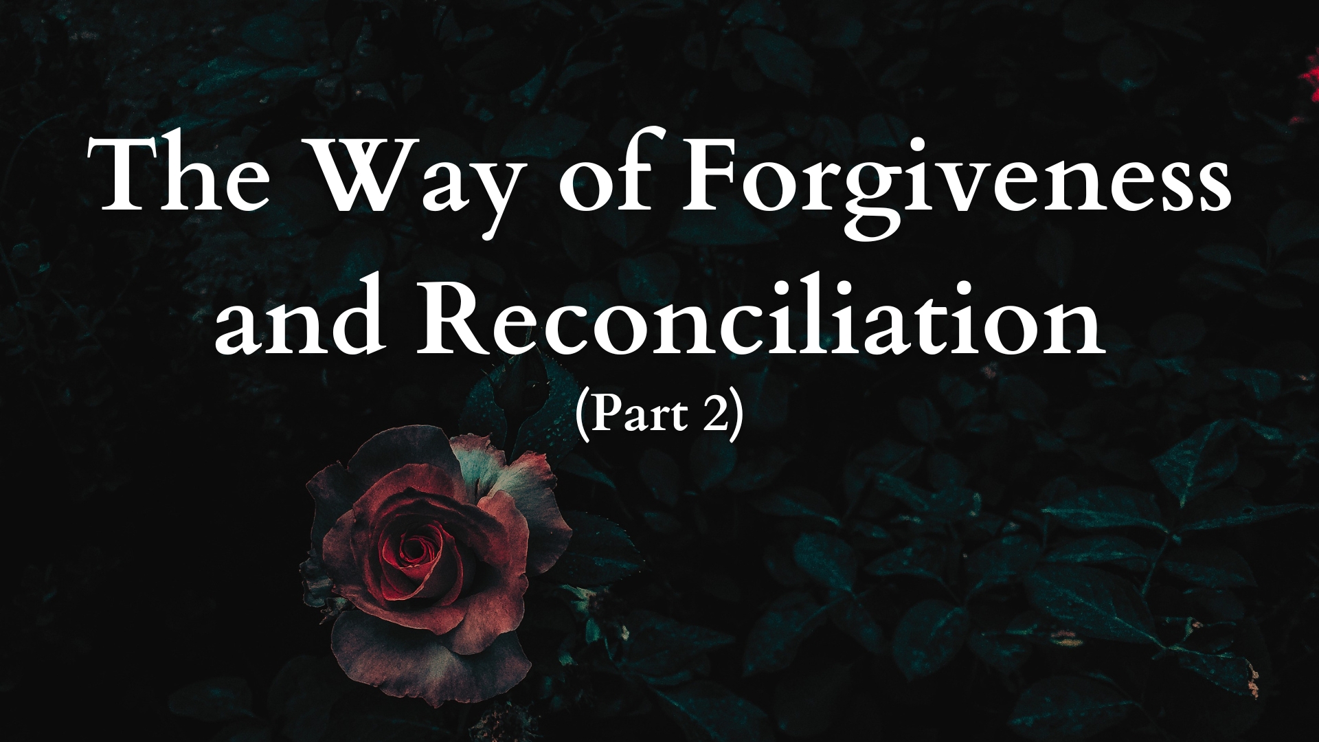 The Way of Forgiveness and Reconciliation part 2