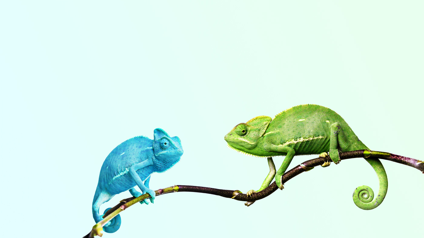 Next Generation Leadership Development Skills Program