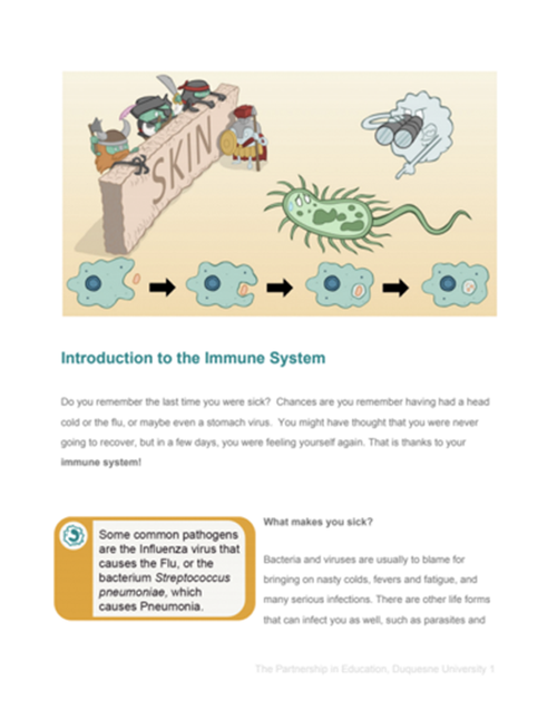 Immune System Student Reading Pages | The Partnership in Education