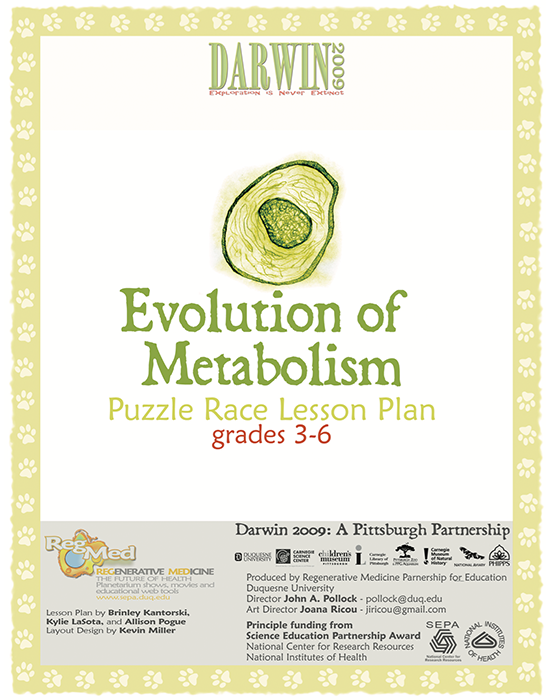 Evolution of Metabolism Puzzle Race Lesson Plan | The Partnership in ...