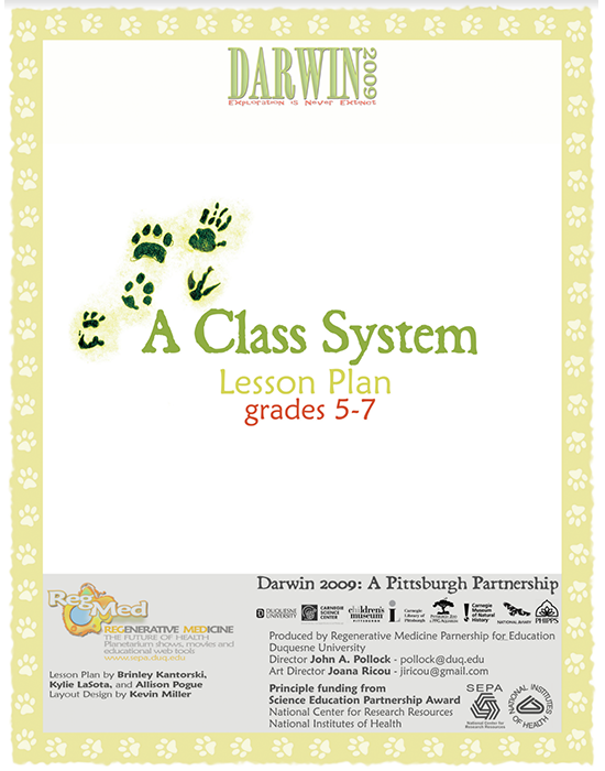 A Class System Lesson Plan | The Partnership in Education