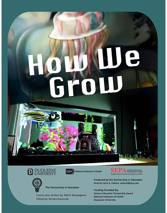 How We Grow Viewing Guide | The Partnership in Education