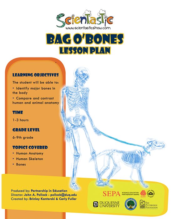 Scientastic Bag O’ Bones | The Partnership in Education
