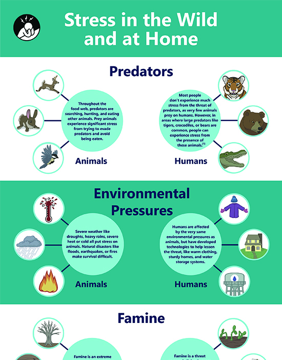 Stress in the Wild and at Home | The Partnership in Education