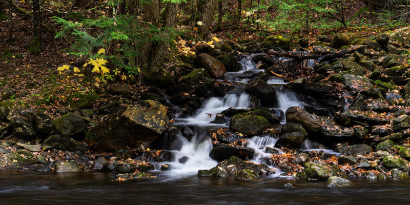 Guide Training Immersion 4 days - USA, Vermont - Basecamp at Beaver ...
