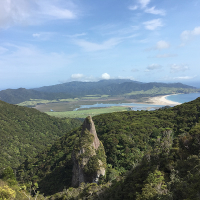Guide Training Immersion 4 days - New Zealand, Aotea Great Barrier ...