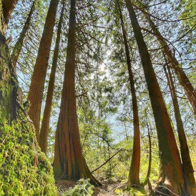 Guide Training Immersion 4 days - Canada, BC - Zajac Ranch 2024 | ANFT ...