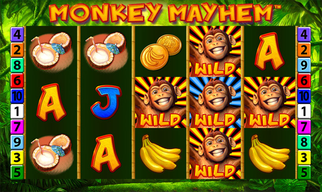 Monkey Mayhem (Merkur Gaming) Slot Review - 💎AboutSlots