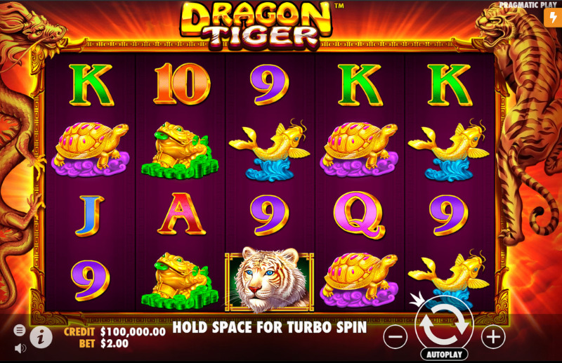 The Dragon Tiger (Pragmatic Play) Slot Review - 💎AboutSlots
