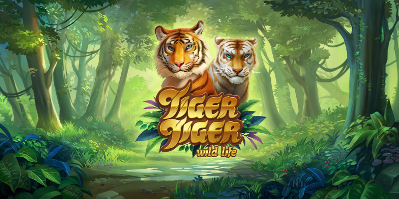Tiger Tiger: Wild Life (Yggdrasil) Slot Review - 💎AboutSlots