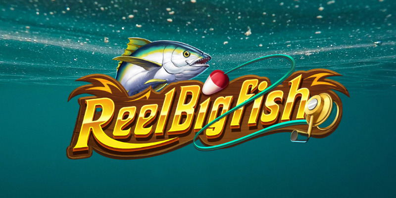 Reel Big Fish (Blue Guru Games) Slot Review - 💎AboutSlots