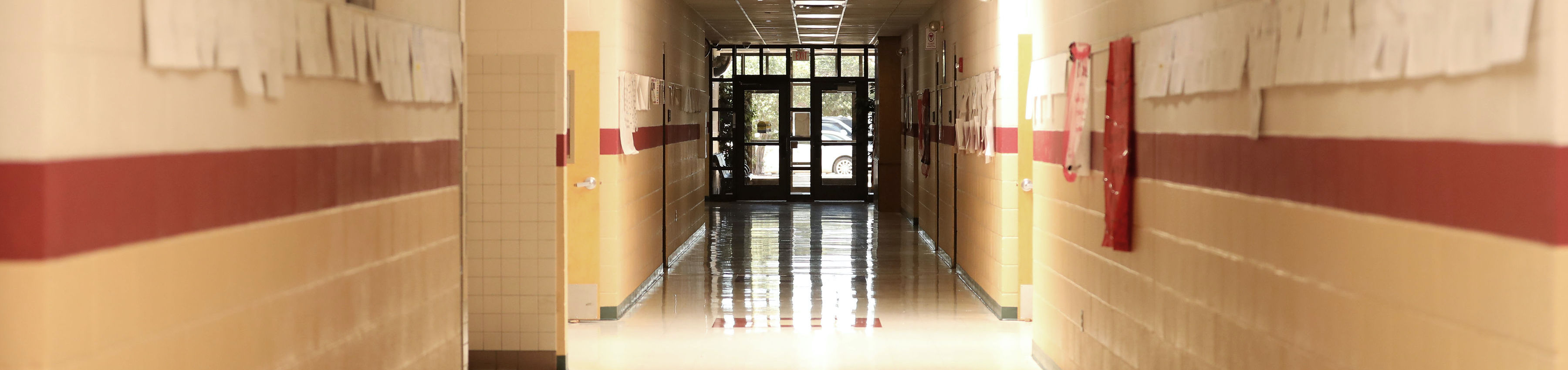 ELSF | Resource: Using Multilingual Resources to Support English ...