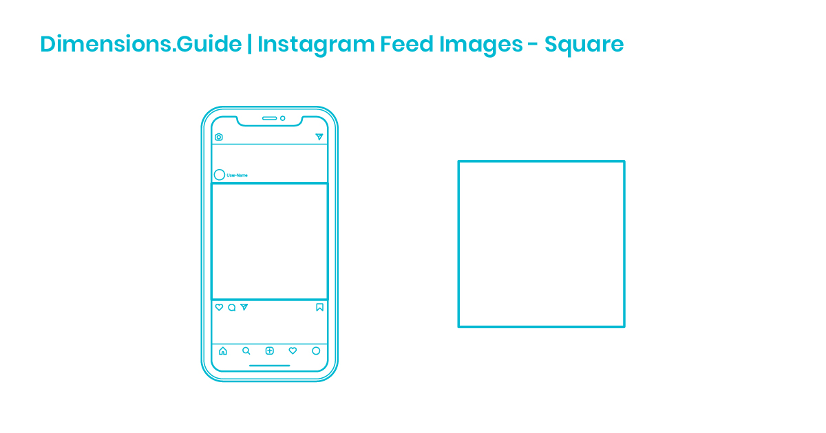 Instagram Feed Images - Square Dimensions & Drawings | Dimensions.com