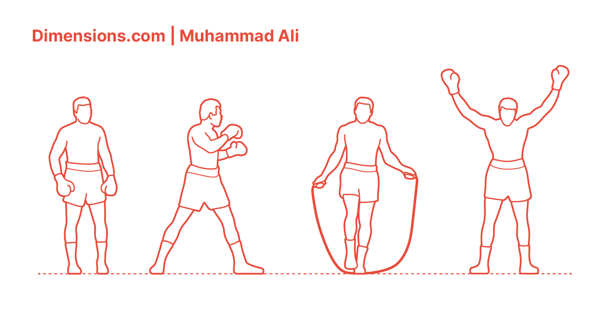Muhammad Ali Dimensions & Drawings | Dimensions.com