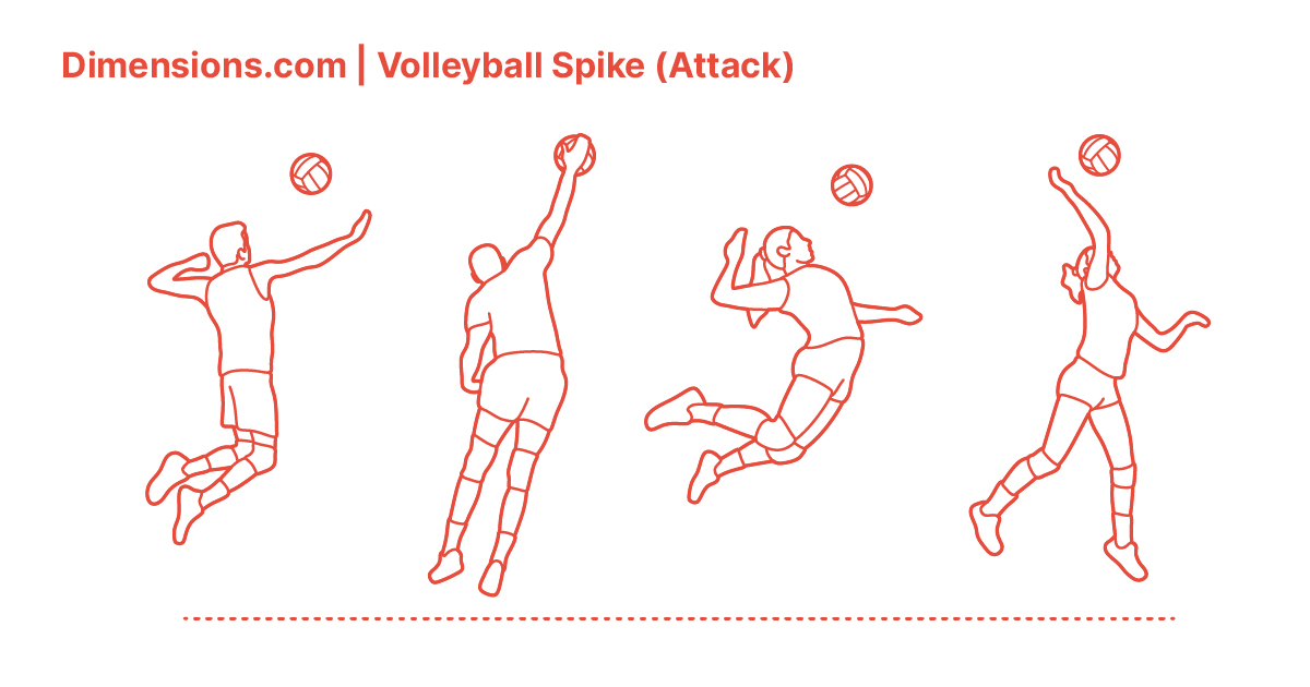 Volleyball Spike (Attack) Dimensions & Drawings | Dimensions.com