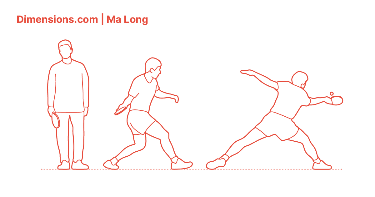 Ma Long Dimensions & Drawings | Dimensions.com