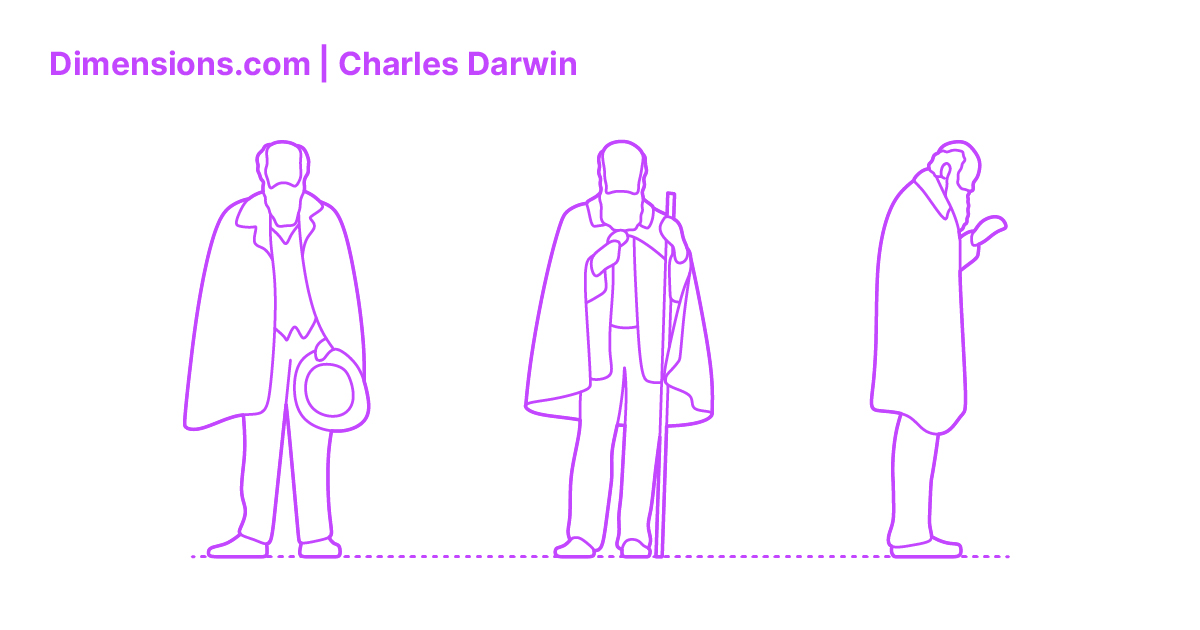 Charles Darwin Dimensions & Drawings | Dimensions.com