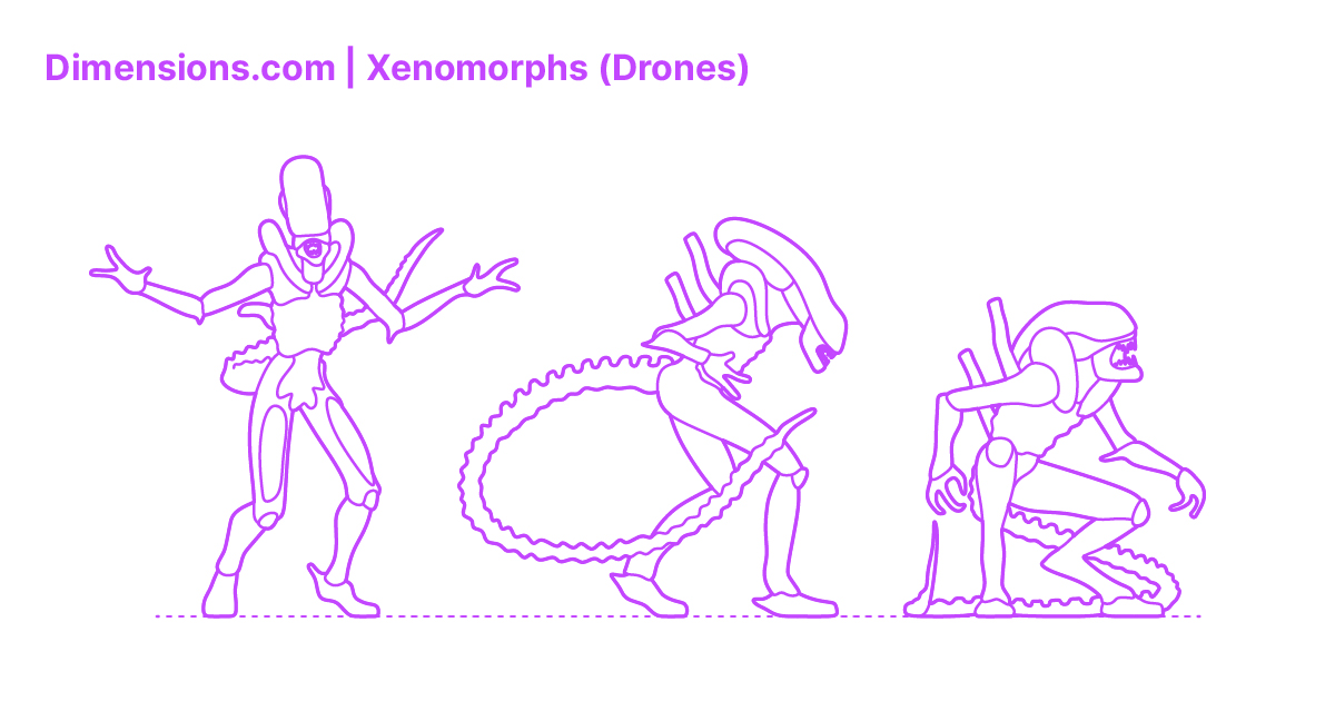 Xenomorphs (Drones) Dimensions & Drawings | Dimensions.com