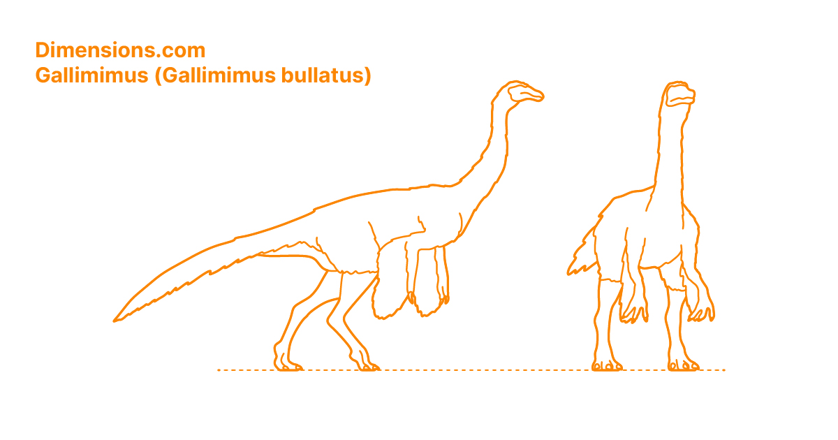Gallimimus Size