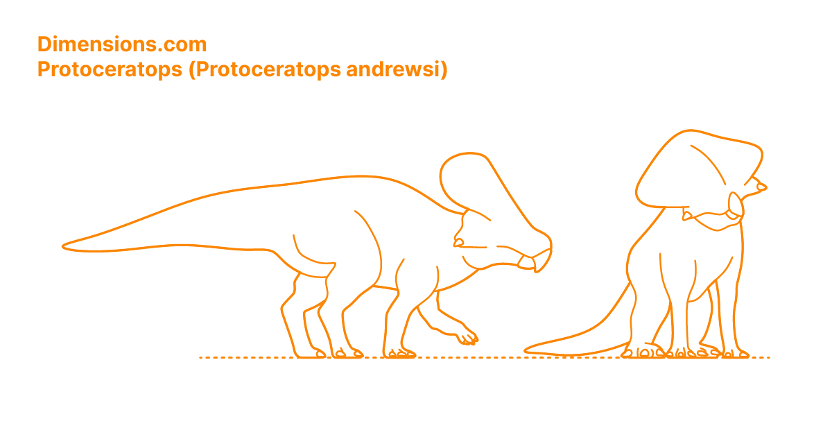 Protoceratops Size