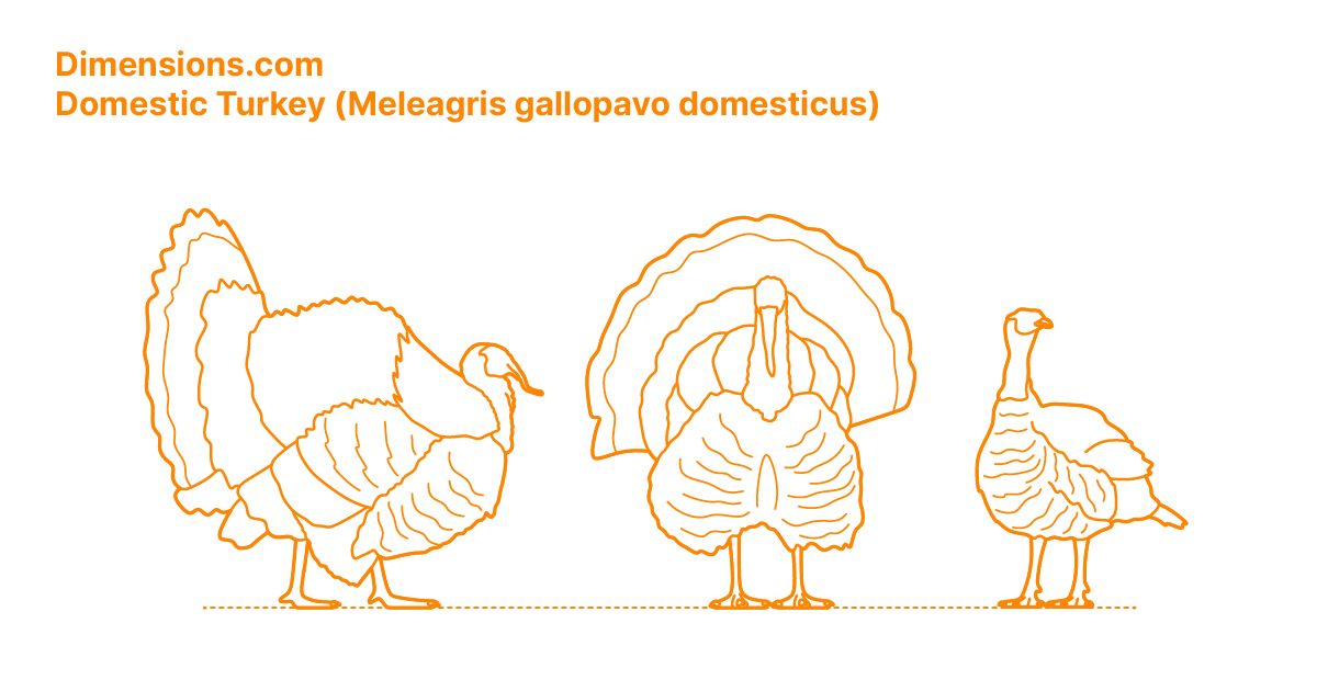 Geographical Size Of Turkey