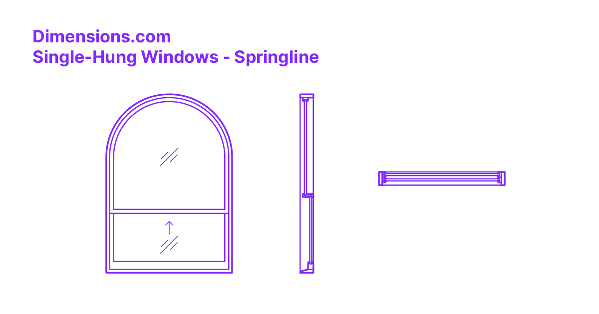 Single-Hung Windows - Springline Dimensions & Drawings | Dimensions.com