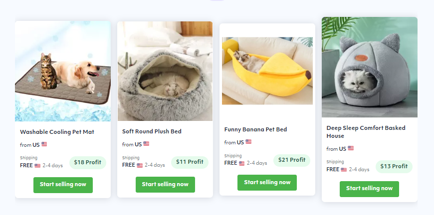 Products for dropshipping during the Black Friday and Cyber Monday 2024