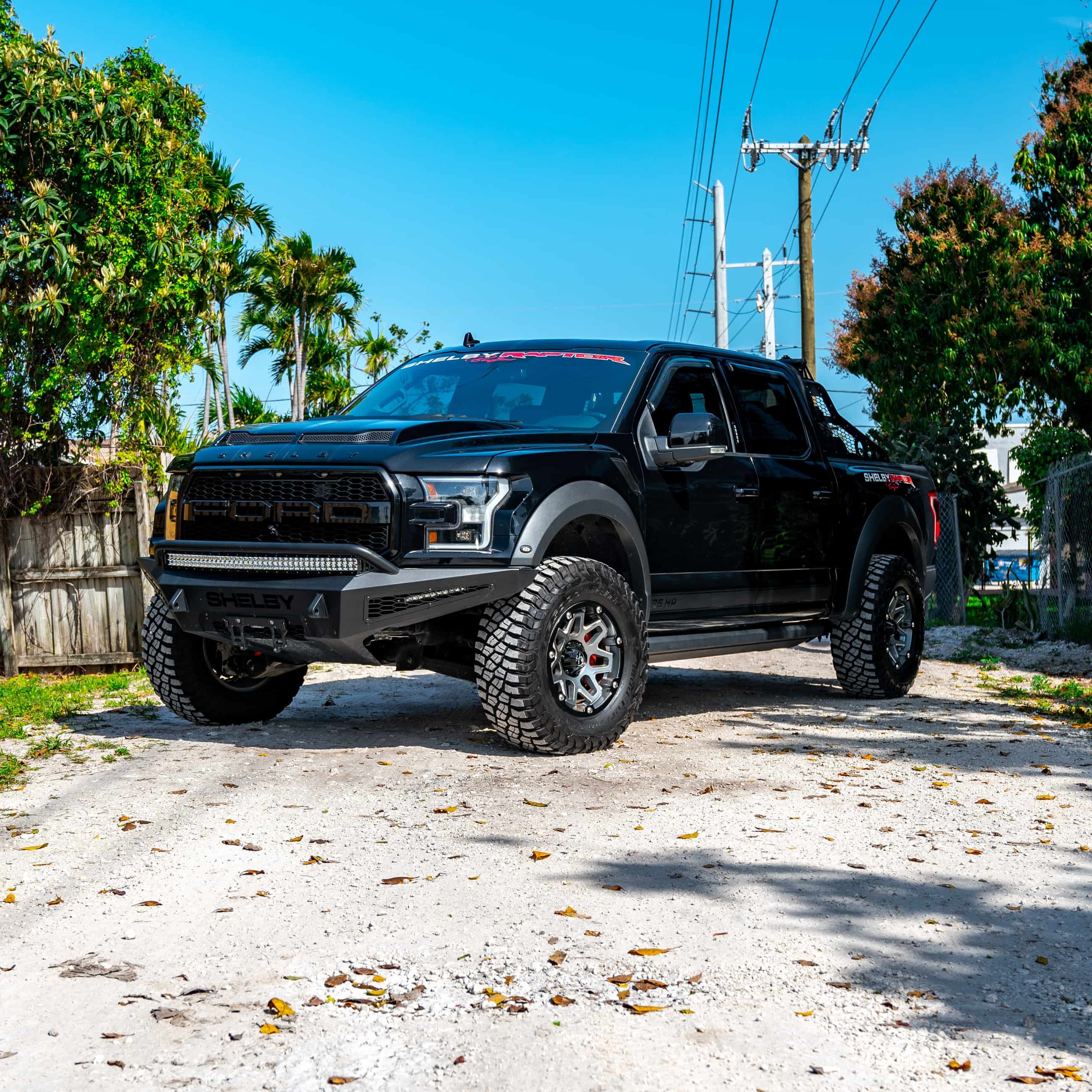 2019 Ford F-150 Shelby Raptor Baja for Sale | Exotic Car Trader (Lot #)