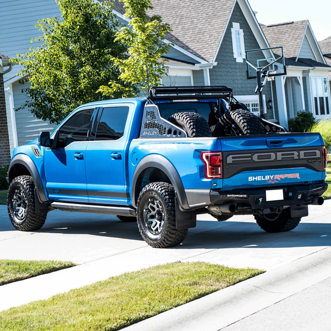 2019 Ford F-150 Shelby Baja Raptor for Sale | Exotic Car Trader (Lot ...