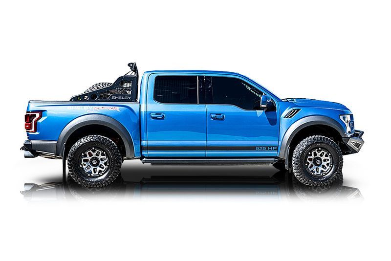 2019 Ford F-150 Shelby Baja Raptor for Sale | Exotic Car Trader (Lot ...