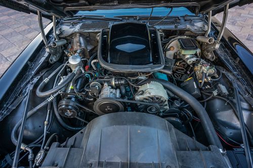 1981 Pontiac Firebird Trans Am for Sale | Exotic Car Trader (Lot #22072640)