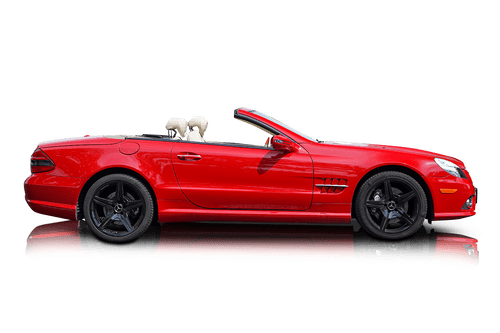 2009 Mercedes-Benz SL550 for Sale | Exotic Car Trader (Lot #23054403)