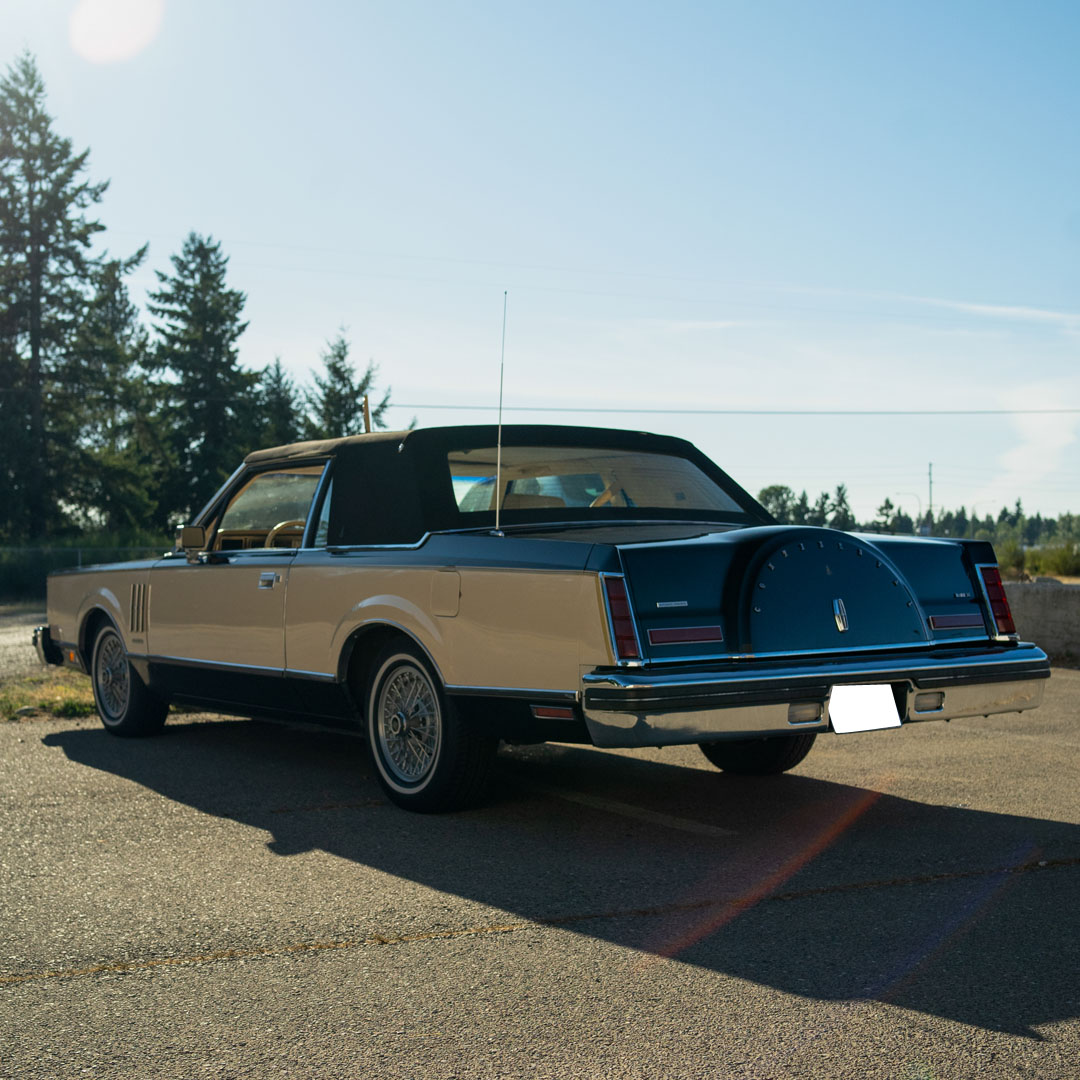 1983 Lincoln Continental Mark VI Bill Blass Edition for Sale | Exotic ...