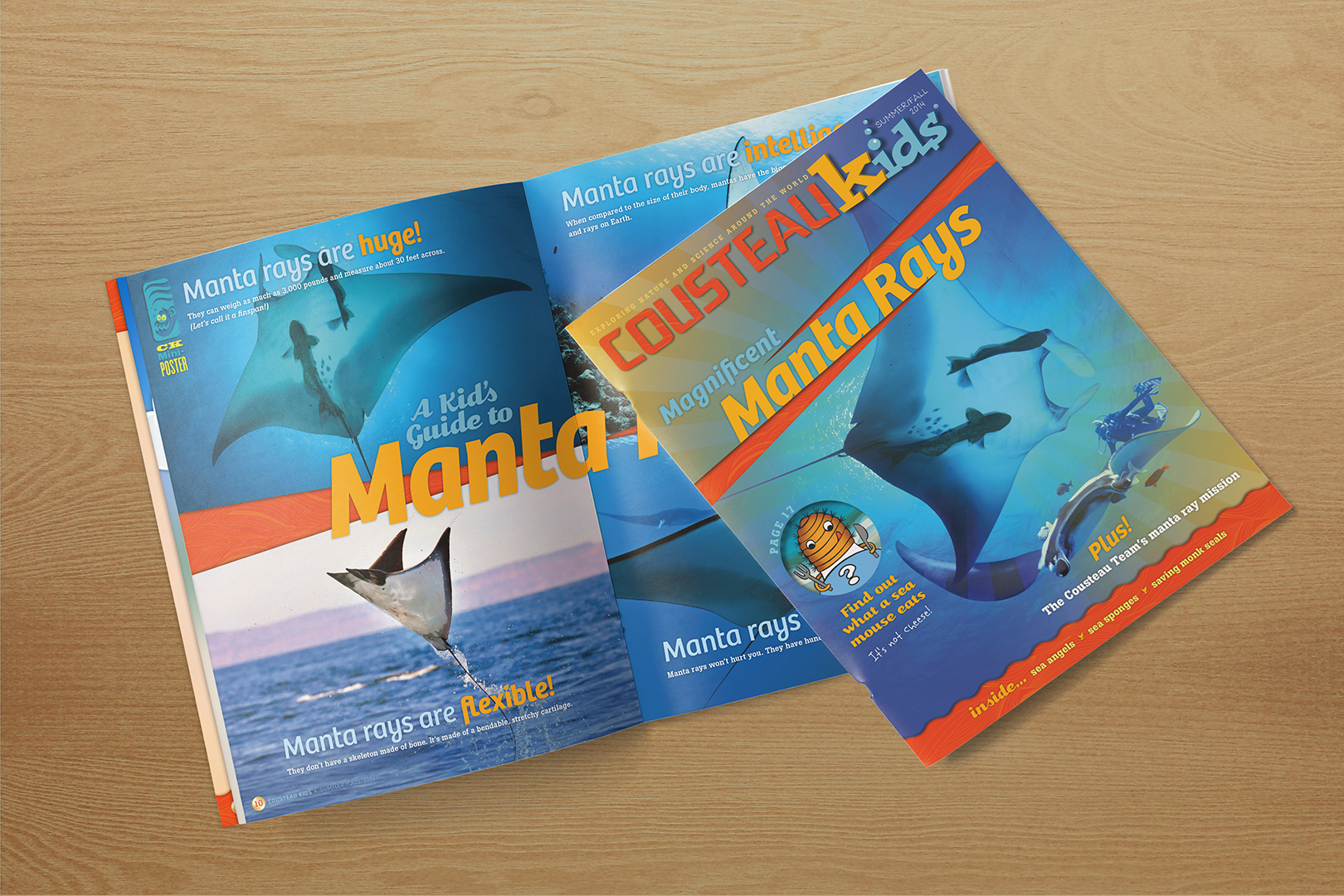 Motion House Road Portfolio | Cousteau Kids Magazine
