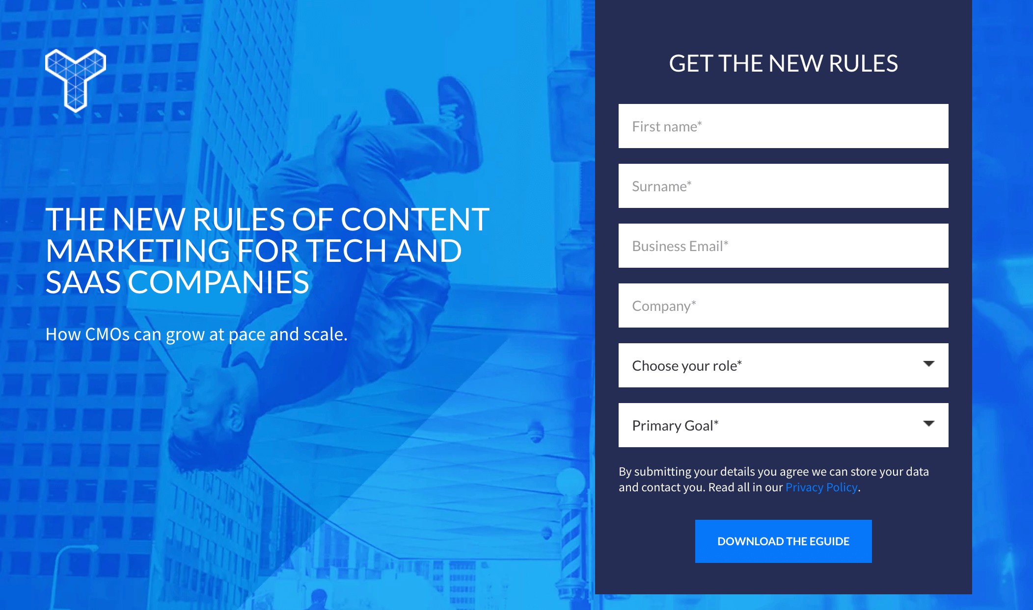 eBook Landing Page Examples And Templates