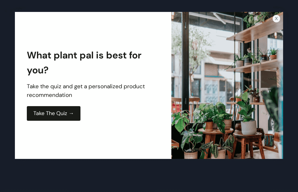 free-plant-shop-quiz-popup-template-convertflow