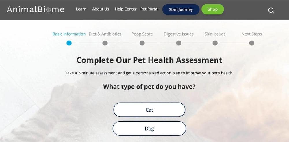 6 Shopify Product Quiz Examples That Drive Sales on Autopilot