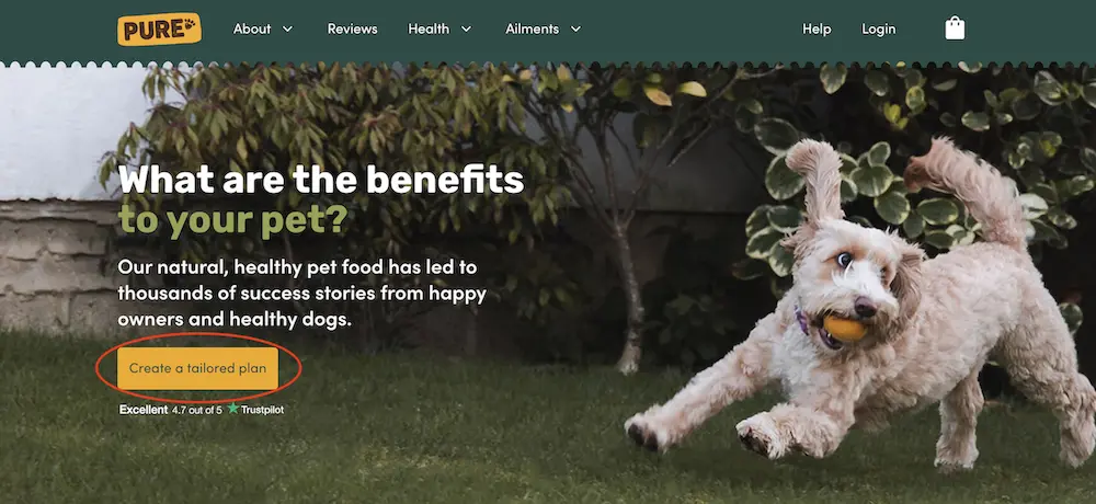 6 Landing Page Funnel Examples to Convert More Customers