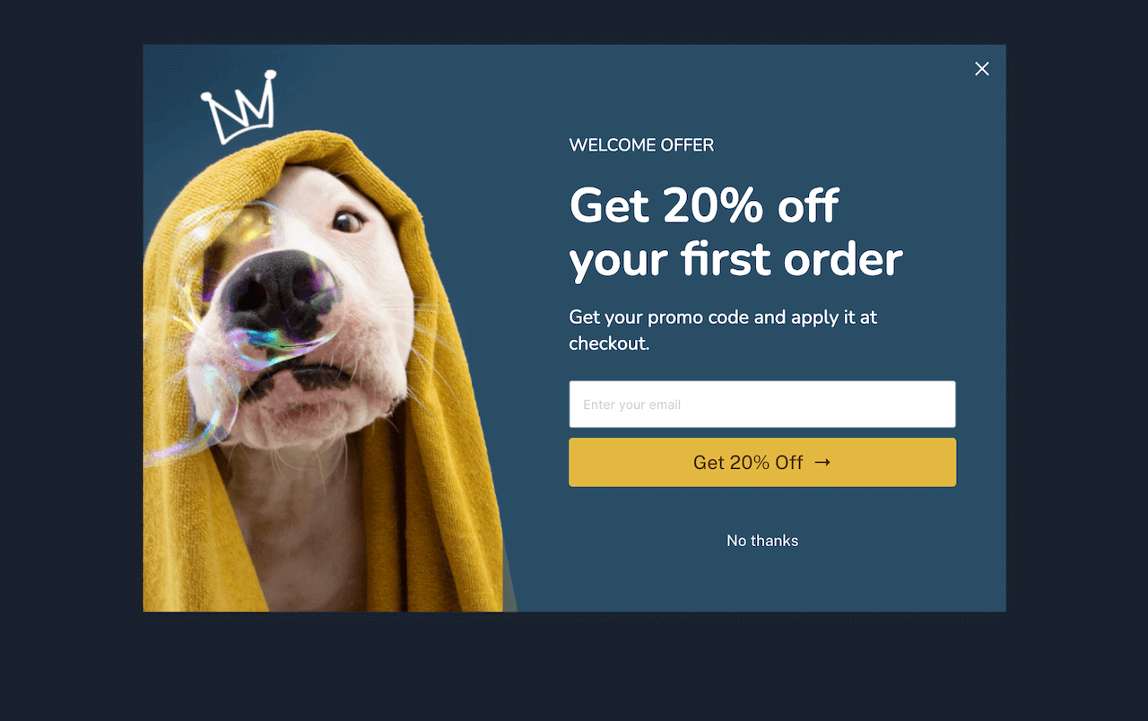 Pets Welcome Offer Popup Template | ConvertFlow